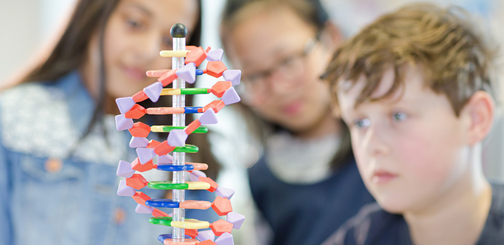 De werking van DNA kan veranderen door jeugdtrauma’s | Augeo Foundation